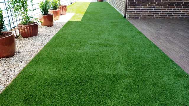 How Can I Make My Lawn Low Maintenance? | Low Upkeep Yard