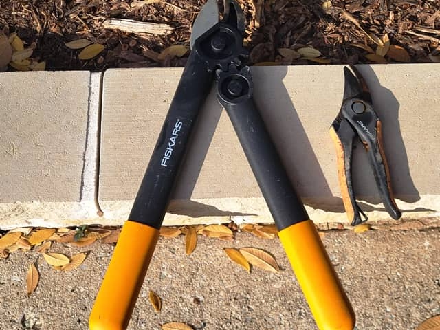 8 Essential Landscaping Hand Tools Every Homeowner Needs