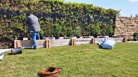 10 Low Cost Landscaping Ideas to Improve Curb Appeal