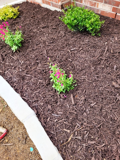 How to Choose the Best Mulch for North Dallas Landscaping