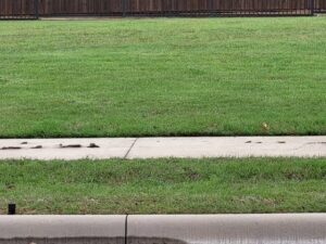 How to Level a Bumpy Lawn in Texas | Level an Uneven Yard
