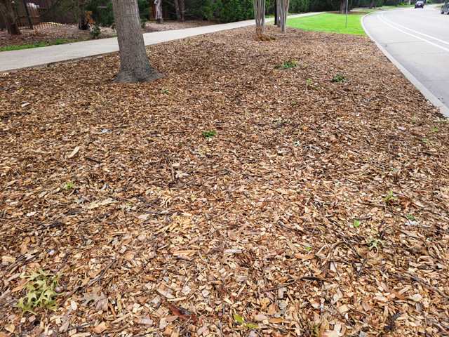 How to Choose the Best Mulch for North Dallas Landscaping