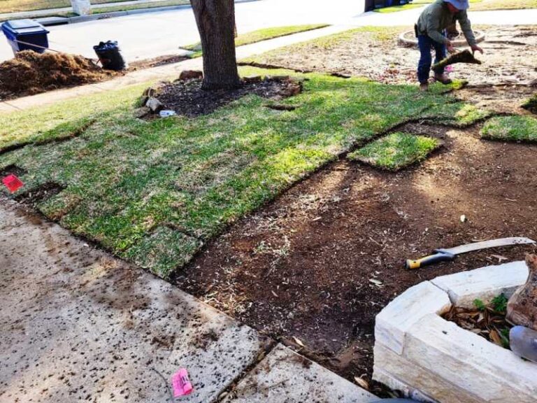 When Can I Resod My Lawn in Texas? Best Time to Lay New Sod