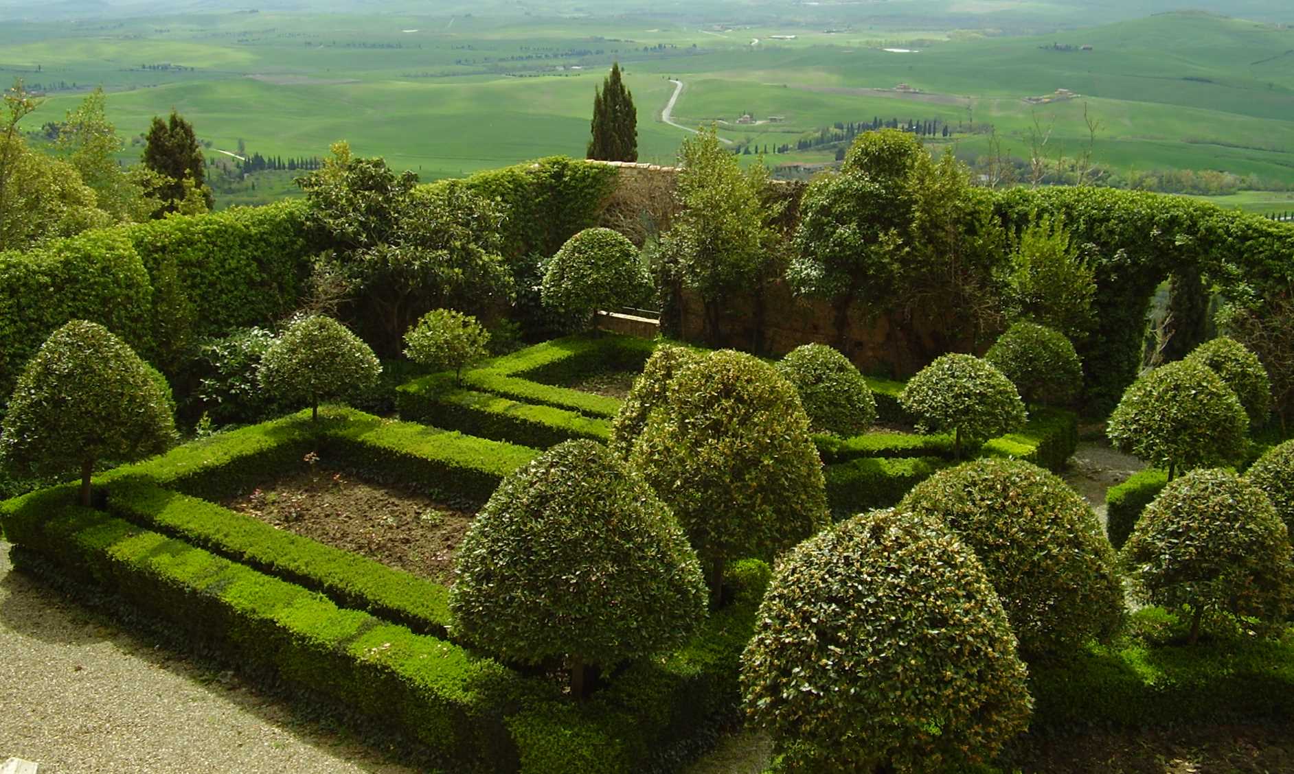 Landscaping with Evergreen Trees and Shrubs | Evergreen Plants